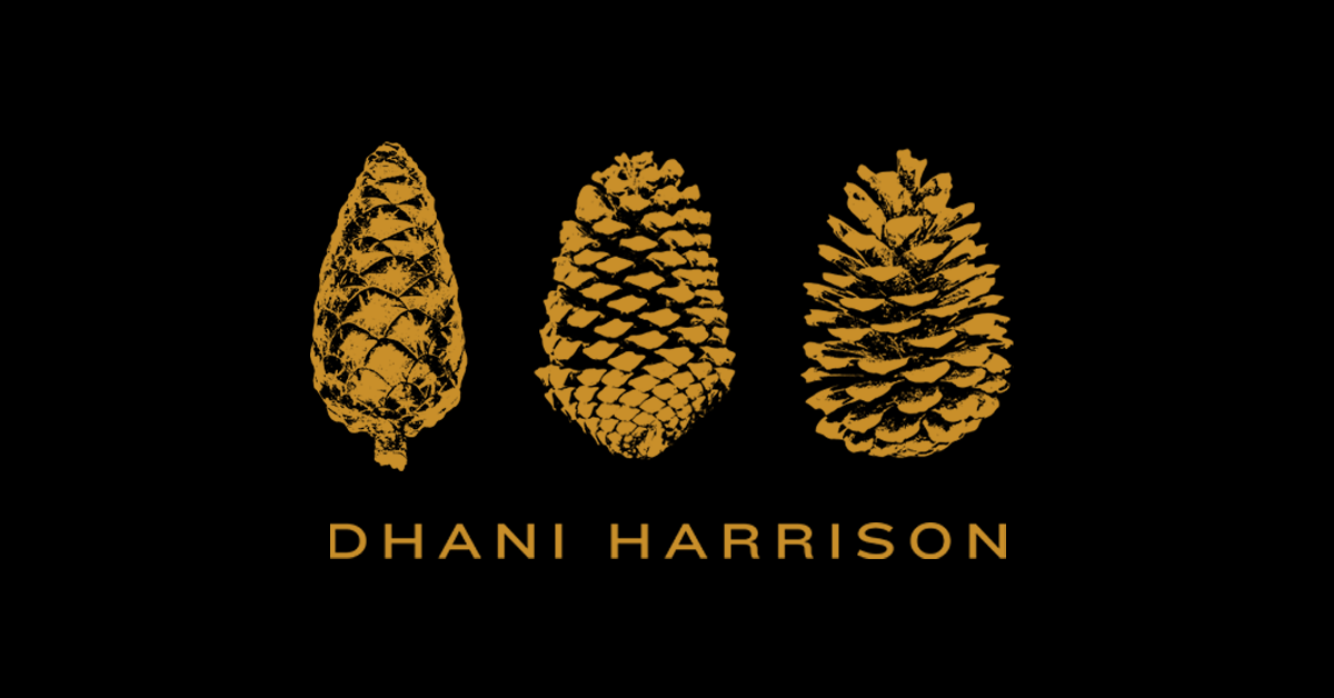 Last Chance – Dhani Harrison